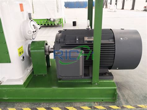 1 0 1 2 T H Europe Standard Biofuel Wood Pellet Maker For Sale