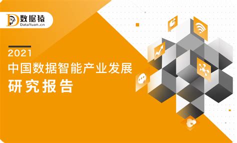 数据猿发布《2021中国数据智能产业发展报告》 速途网