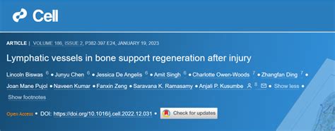 华西口腔陈俊宇副教授联合国外团队在cell发文 在骨损伤修复研究方向取得重要进展 四川大学新闻网