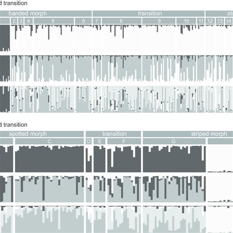 Structure Plots Based On Microsatellite Data For The Banded Striped
