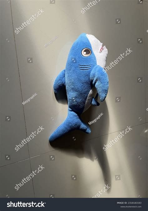 Baby Shark Images Over 61 Royalty Free Licensable Stock Photos Shutterstock