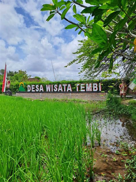 omah tembi home stay omah tembi homestay is a very typical… by jihan