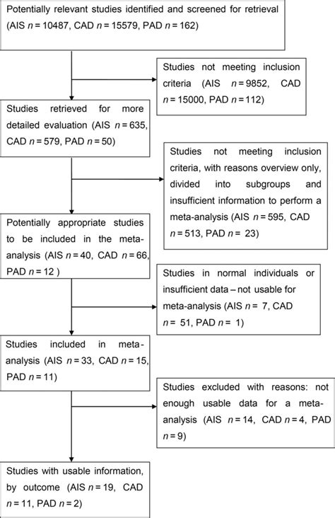 Search Strategy Flow Chart Silent Brain Infarction Sbi In Acute Download Scientific Diagram