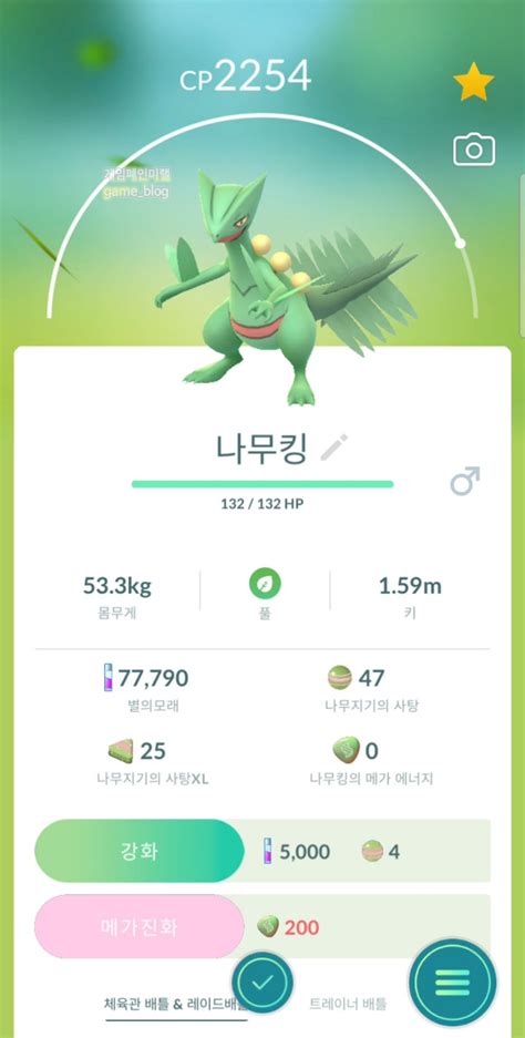 포켓몬고 나무지기 나무돌이 나무킹 진화 약점 And 졸업스킬