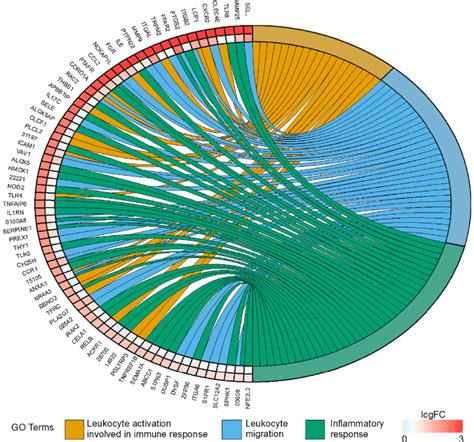 Chordplot Of Genes Involved In Immune Responses In M Lucifugus Download Scientific Diagram