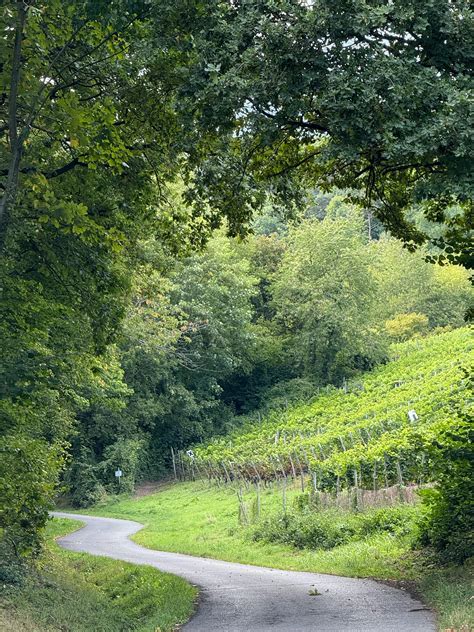 Lush Green Landscape Photos Download The Best Free Lush Green
