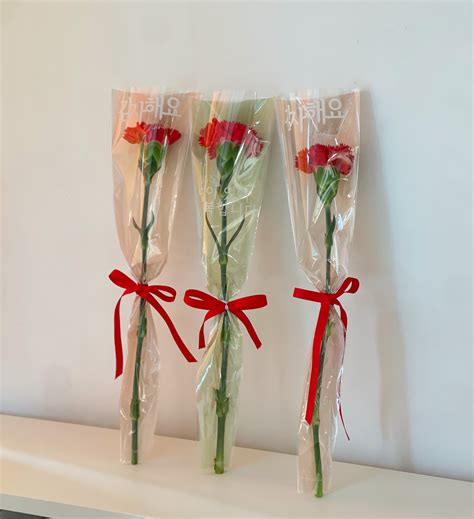 가정의 달 카네이션 한송이 배민 장보기∙쇼핑