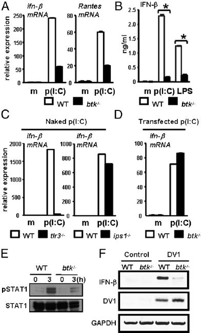 Btk Is Required For Tlr3 Induced Ifn β Production And Inhibition Of