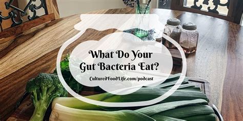 Episode 296 What Do Your Gut Bacteria Eat Cultured Food Life