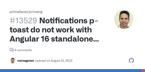 Notifications P Toast Do Not Work With Angular 16 Standalone No