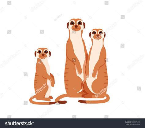 Group Meerkats Vector Illustration Stock Vector Royalty Free 1970070655 Shutterstock
