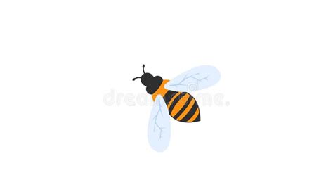 Animation Bee Flies And Flaps Its Wings 2d Motion Stock Footage