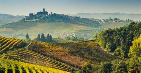 Naked Wines Sees Opportunities For Its Disruptive Model Aim Wine