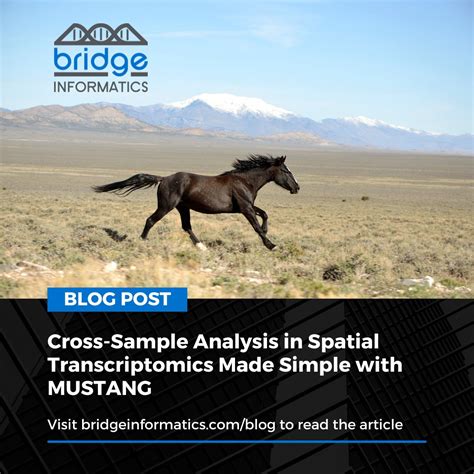 Bridge Informatics On Linkedin Deconvolution Bioinformatics
