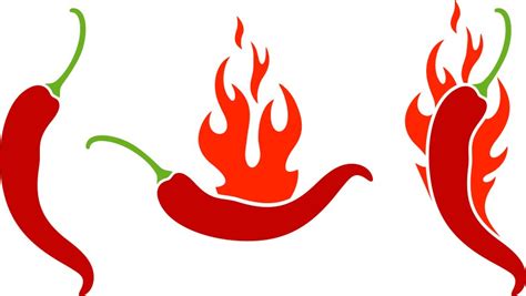 Spicy Chili Pepper Royalty Free Vector Image Vectorstock