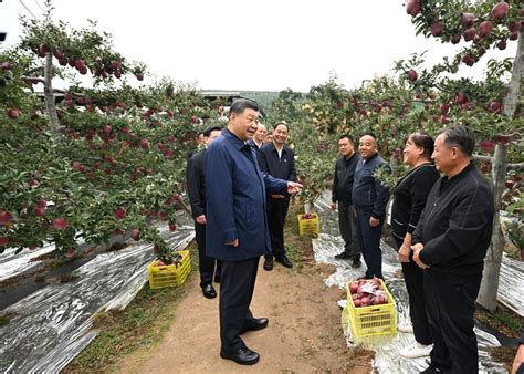 学习进行时丨让农民腰包越来越鼓生活越来越美好习近平总书记走进田间地头话三农 中国网