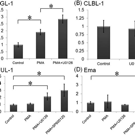 The Results Of Western Blot For Phospho Jnk Jnk Phospho C Jun C Jun