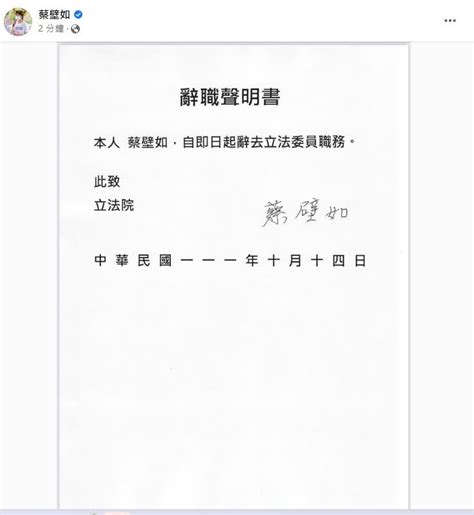學位遭撤銷 蔡壁如晚間宣布「辭去立委職務」
