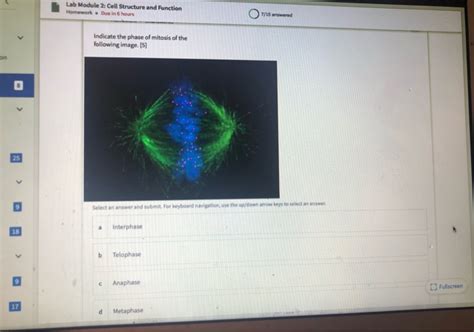 lab module 2 cell structure and function homework