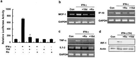 Ppar Agonists Also Suppress The Events Downstream Of Jak Stat Download Scientific Diagram