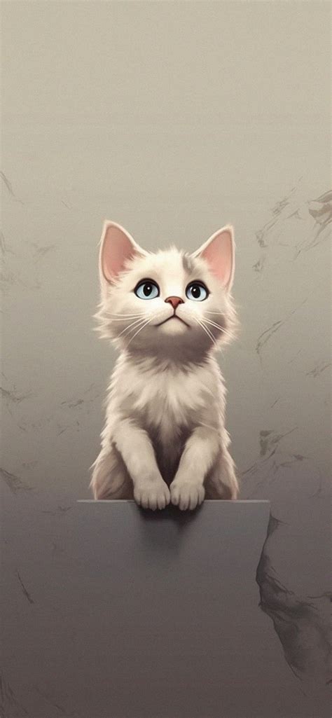 Cute White Cat Wallpapers For Desktop
