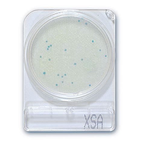 Compact Dry Xsa Staphylococcus Aureus 40 Stförp Arena Kemi Ab