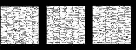 Planar Views Of The 3d Grain Structure Prediction When Using The Download Scientific Diagram