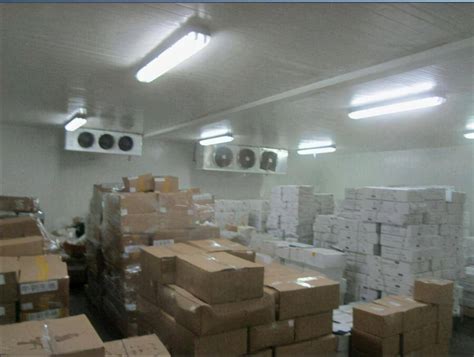 什么是冷库花？如何分辨 冷库花”鲜花