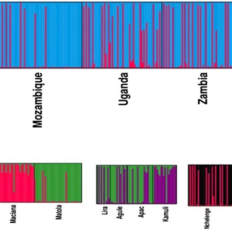 bayesian cluster analysis using structure graphical representation of
