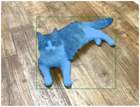Github Aminrabiniayolo Sam Image Segmentation