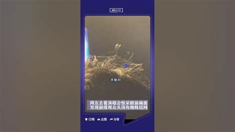 看演唱会被前排男生头发给吸引，仔细一看竟然有只蜘蛛在结网！ Youtube