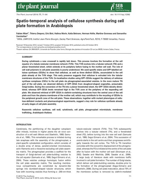 PDF Spatio Temporal Analysis Of Cellulose Synthesis During Cell Plate Formation In Arabidopsis