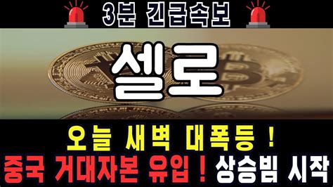 셀로 홍콩 인커버스 대규모 자금 유입 바로 00시간 폭등 확정 입니다셀로 셀로코인전망 셀로코인 Youtube