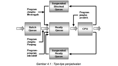 Network Operating System Network Operating System