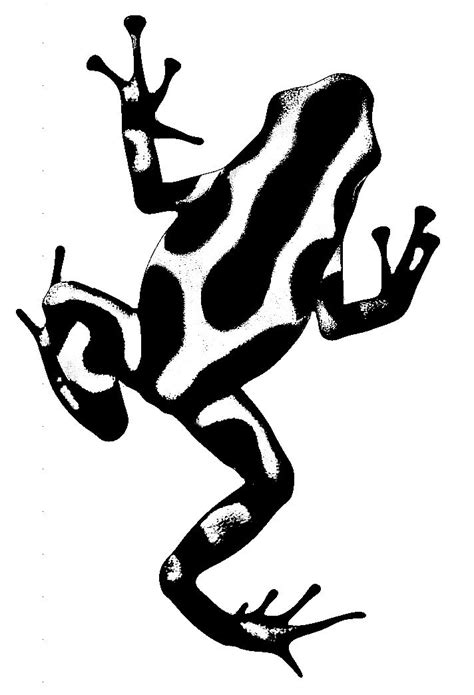 Poison Dart Frog Stencil