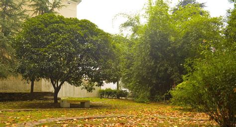 校友会小程序开发笔记二：功能需求设计 Infoq 写作平台