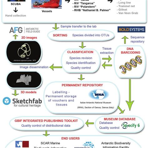 Flowchart Depicting Major Steps In Dataset Development And Publishing Download Scientific