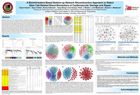 Pdf A Bioinformatics Based Bottom Up Network Reconstruction Approach To Detect Stem Cell