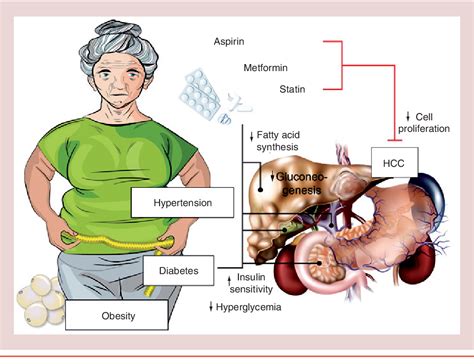 Figure 1 From Nonalcoholic Fatty Liver Disease And Hepatocellular