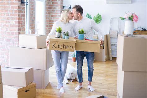 새로운 가정에서 개 이동 골판지 상자와 젊은 아름다운 부부 2명에 대한 스톡 사진 및 기타 이미지 2명 가구 개 Istock