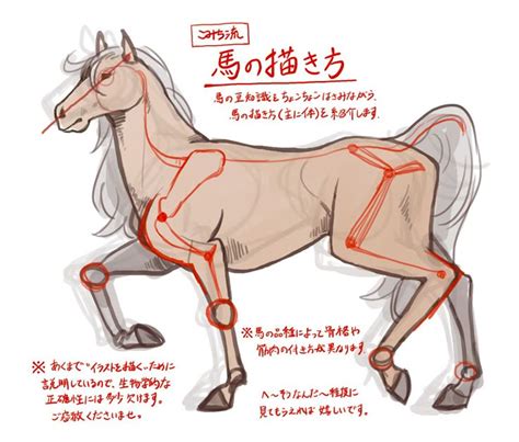 馬・子馬の描き方 1 馬のスケッチ 馬の描き方 馬のイラスト