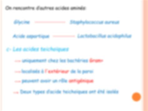 SOLUTION Cour De Microbiologie S3 S Ance Iii 2022 2023 Studypool