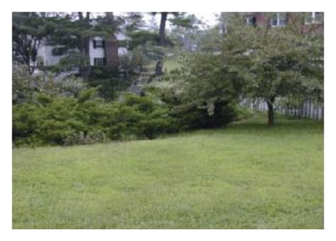 Copy Paste Forgery Within Same Image A Original Image B Tampered