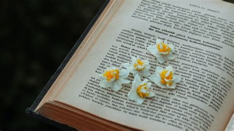 How Many Poems Are Usually In A Poetry Book Poetry Poets