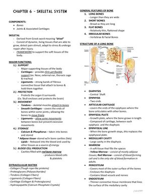AP Lab Ex Review Sheet Chapter Overview Of The Skeleton Classification And Name