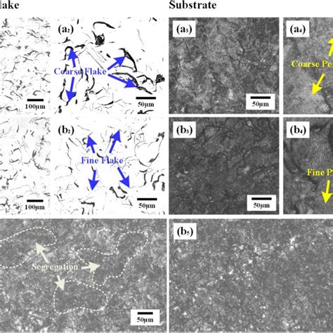 Om Observation Of The Microstructure Of Gci A Without Tic Tib2 Download Scientific Diagram