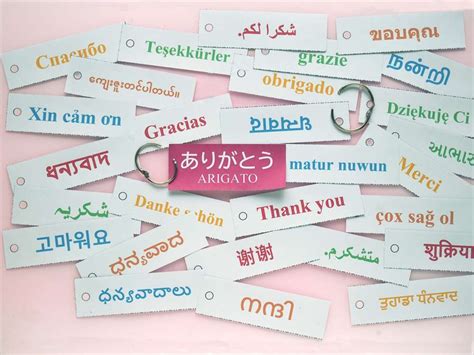 【多言語対応】おすすめの日本語wordpressテーマ3選