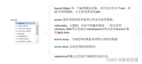 单细胞测序数据分析python工具库Scanpy python 单细胞测序 差异基因 CSDN博客