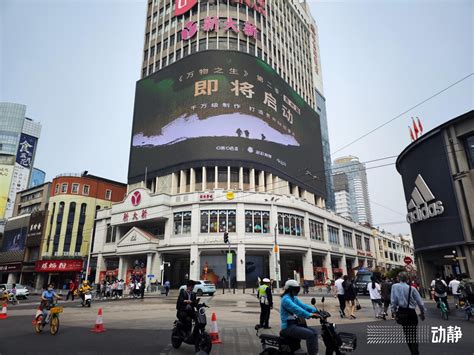 8k纪录片《万物之生·贵州篇》5月开拍
