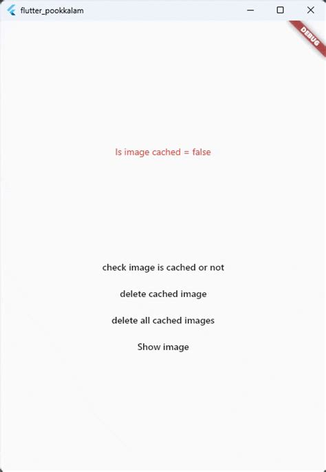 Fast Cached Network Image Flutter Package